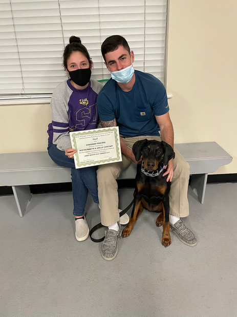 About | Basic Dog Training