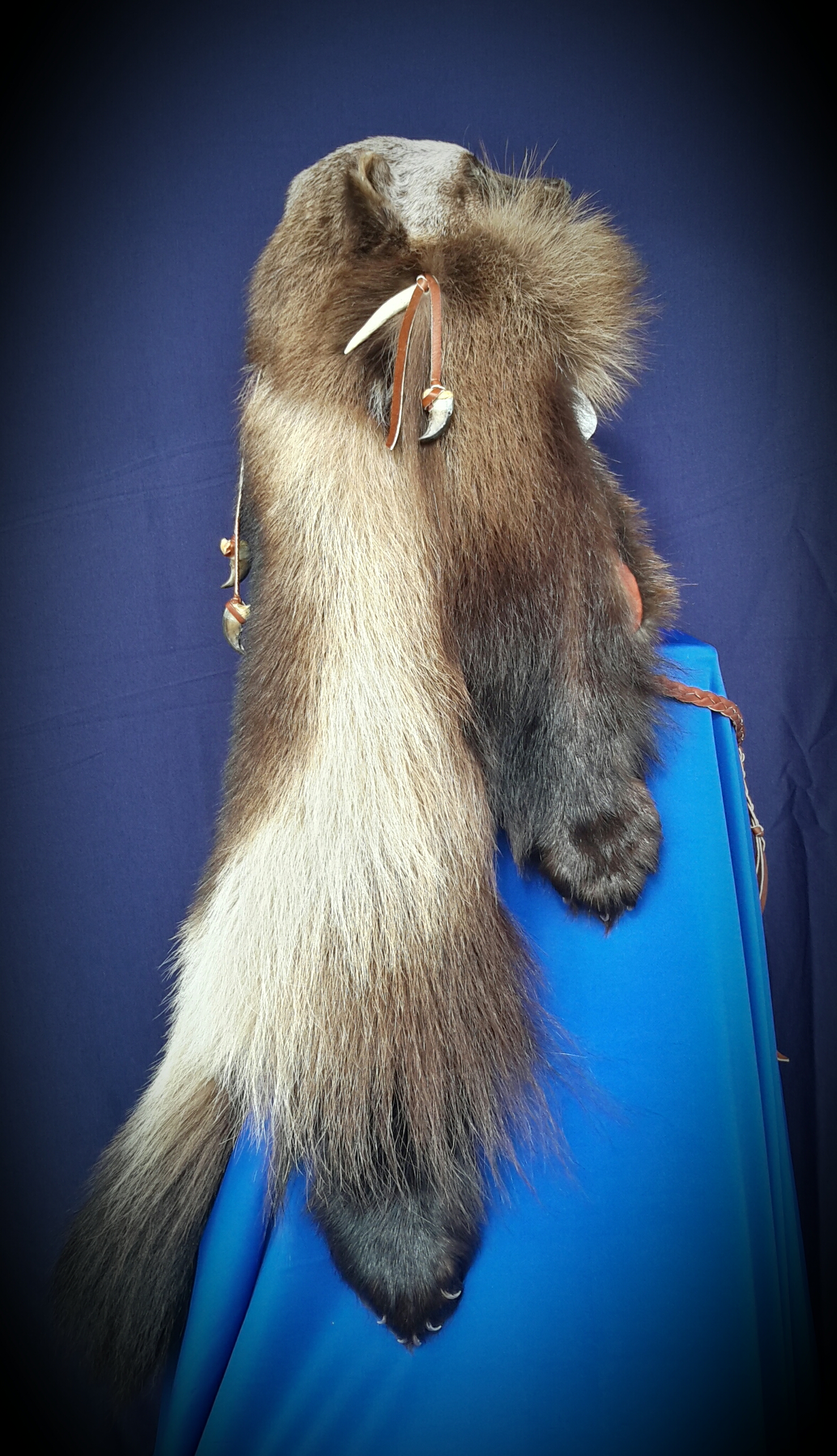 Taxidermy Head Hats | Gold Standard Furs
