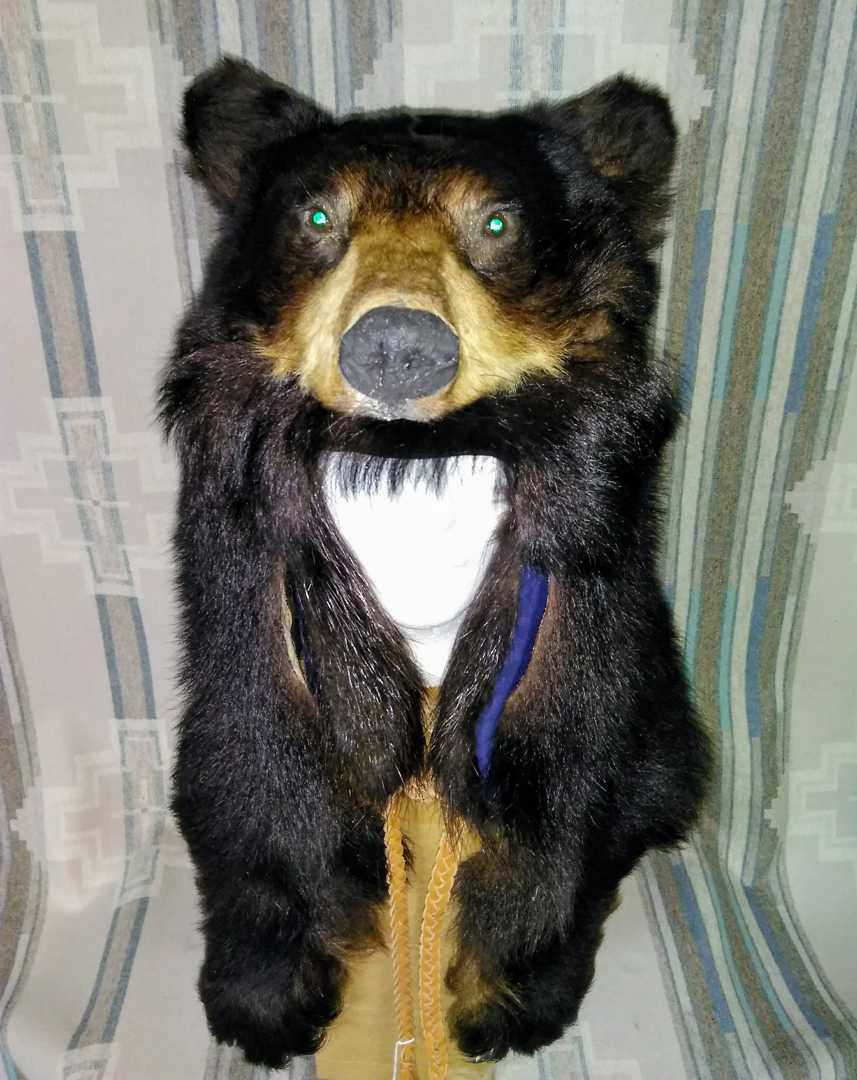 Taxidermy Head Hats | Gold Standard Furs