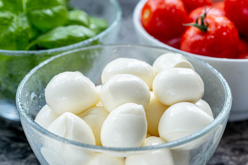 Fresh Florida Mozzarella Tub | lafemmedufromage