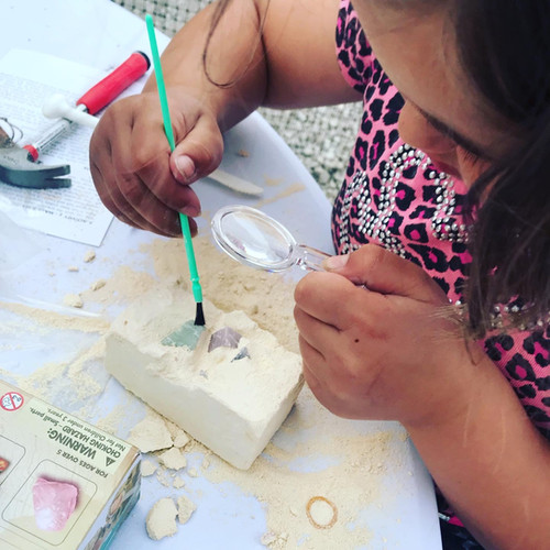 Archaeology Shell Kit | Around the Corner