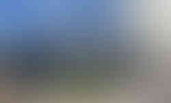 Stone Veneer Gallery | Harristone