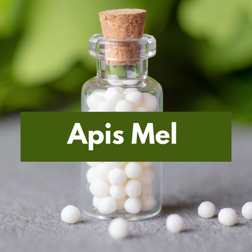 Apis Mel | hygieia