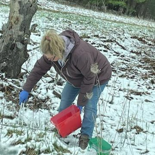 Proper Sharps Disposal Is Prevention