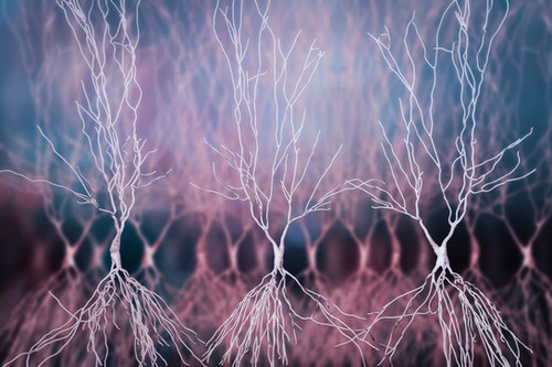 Neuroscience Breakthroughs | BioSource Software