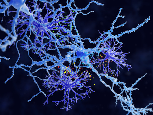 Brain Refresher Series | BioSource Software