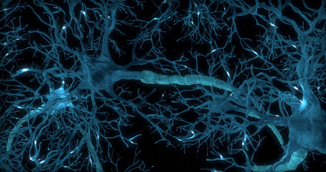 Brain Network Refresher