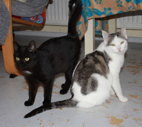 Laura & Lilly, 08078255-9685-4b6e-9bf4-59f5cb085f33