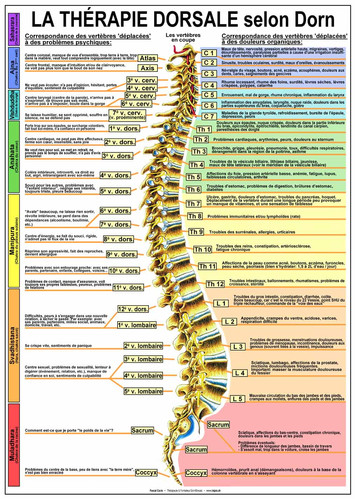 Poster Dorn A3 | inipis, Pascal Cavin