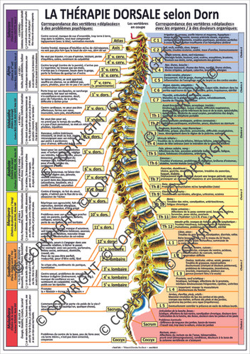 Poster Dorn A1 | inipis, Pascal Cavin