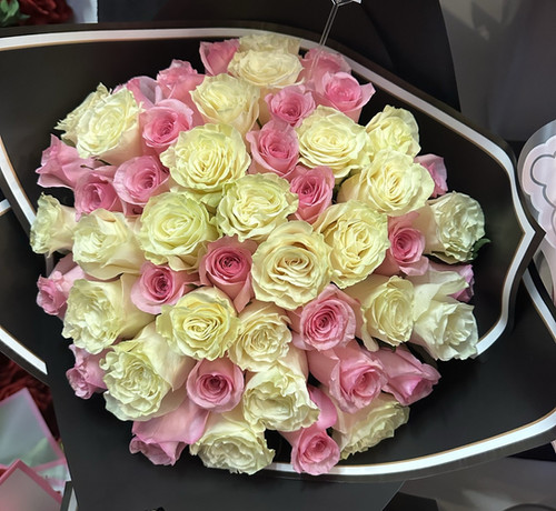 Dreamland Pink | Luxury Rose Designs