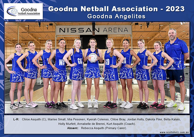 REPRESENTATIVE NETBALL | goodnanetball