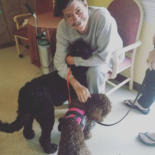 Tinker and Nikki | pawprints