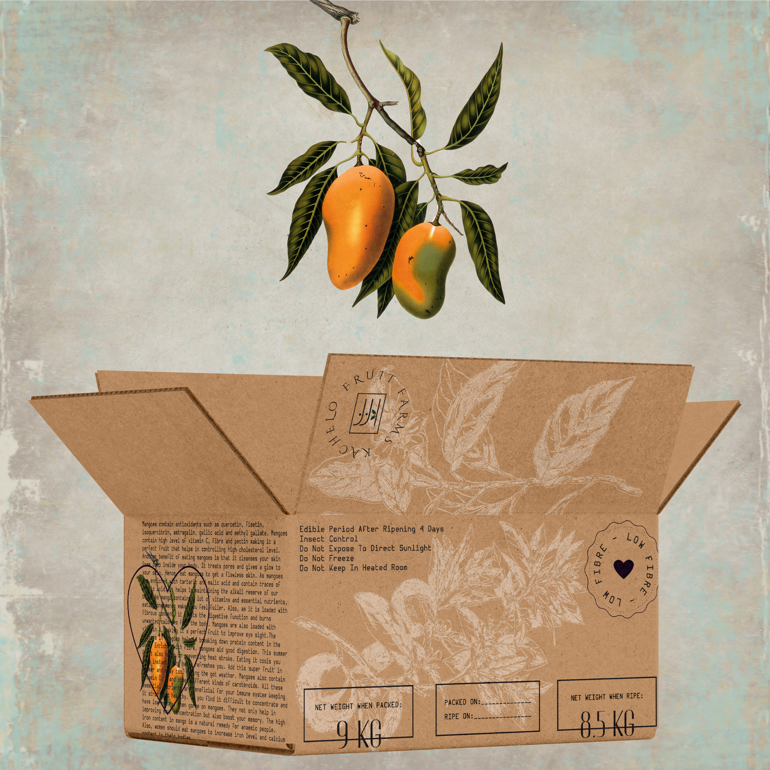 Coco9 | Purnia Farrukh