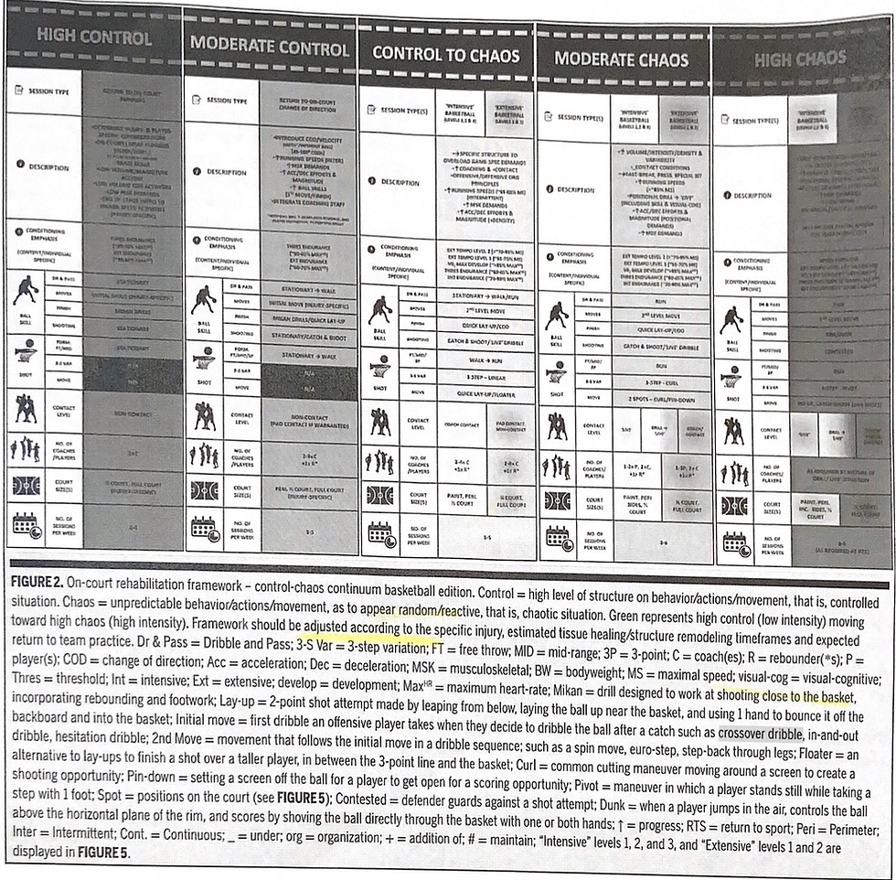 關於籃球的場上回場連續模型(Control-Chaos Continuum)，以及何謂回場肌力診斷？｜運動醫學