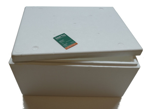 Styroporbox | Jungle Vibes