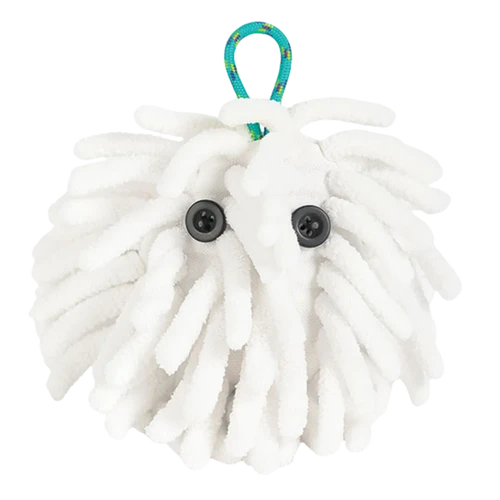 Chalktopus /チョクトパス（Midnight Lightning） | MADROCK