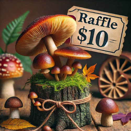 Raffle Ticket | Mycology Network