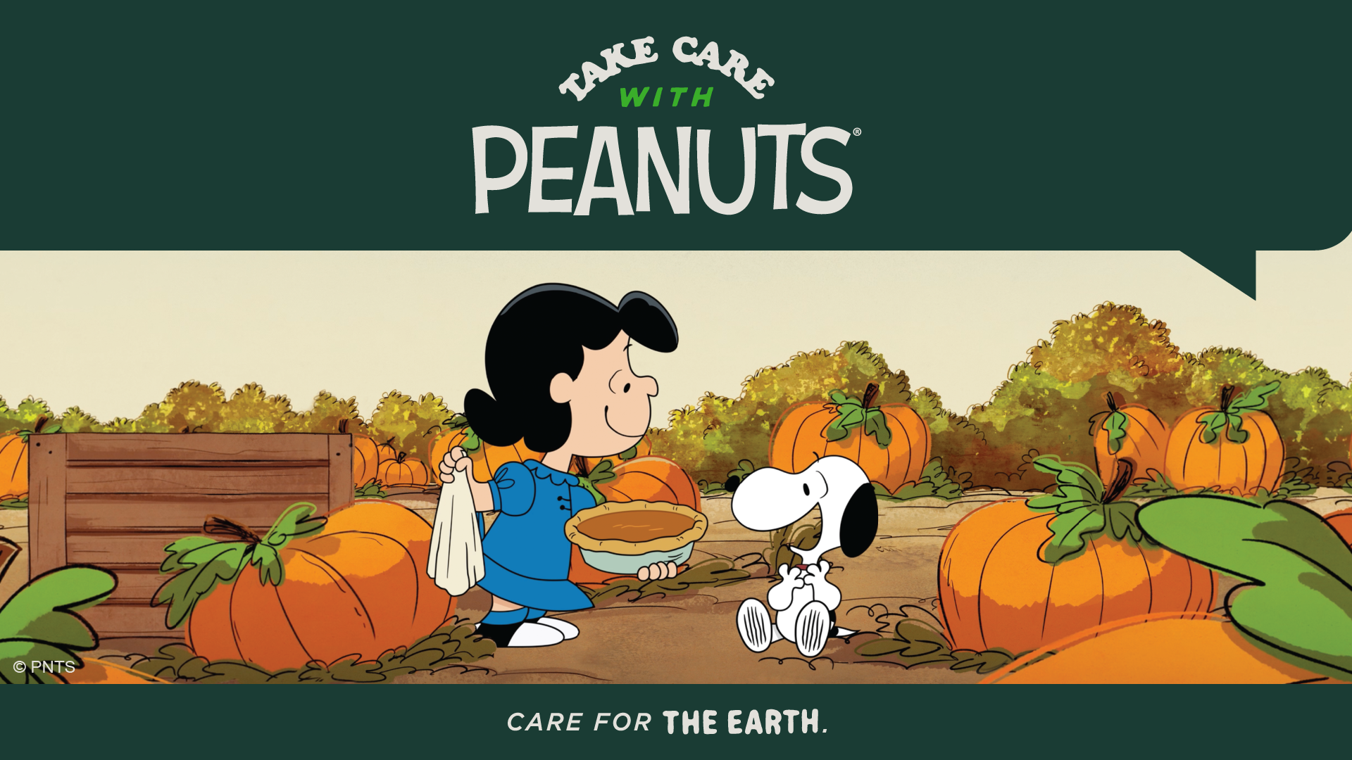 Take Care With Peanuts Happy Harvesting Peanuts