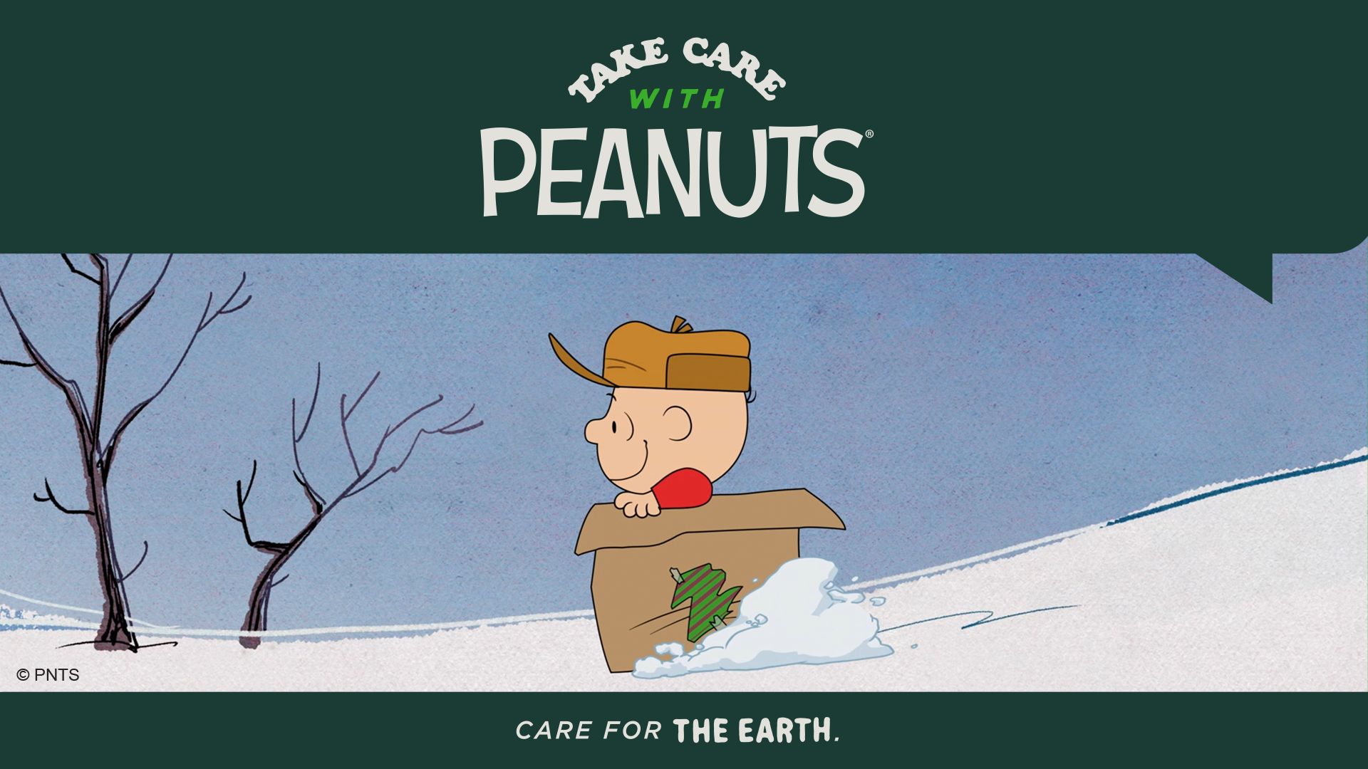 Take Care with Peanuts: Think Inside the Box | Peanuts