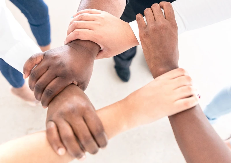 Program List | 6 Figure Chick