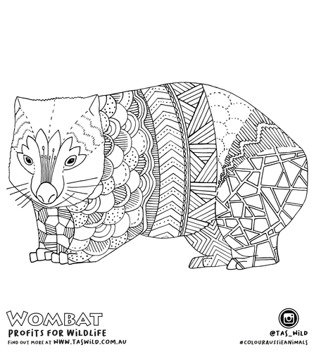 Wombat Colouring Page | Taswild