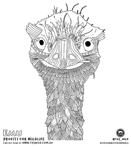 Emu Colouring Page | Taswild