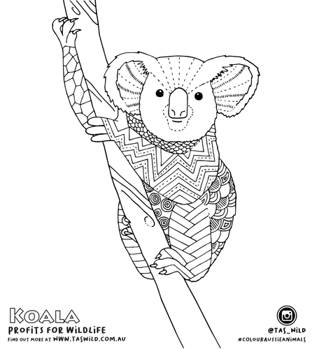 Koala Colouring Page | Taswild