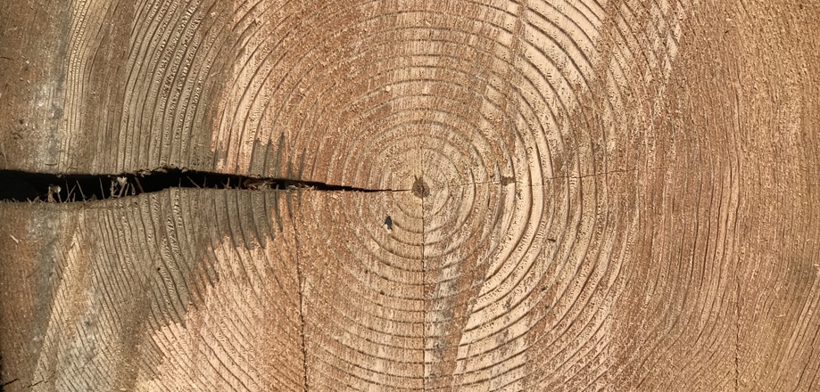 Reclaimed Lumber | Timberworks Inc | Idaho| TimberworksReclaimedLumber