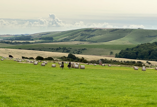 Our Trainer | Affordable Horseracing Partnership