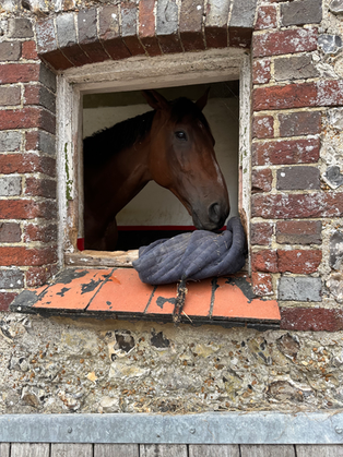 Our Trainer | Affordable Horseracing Partnership