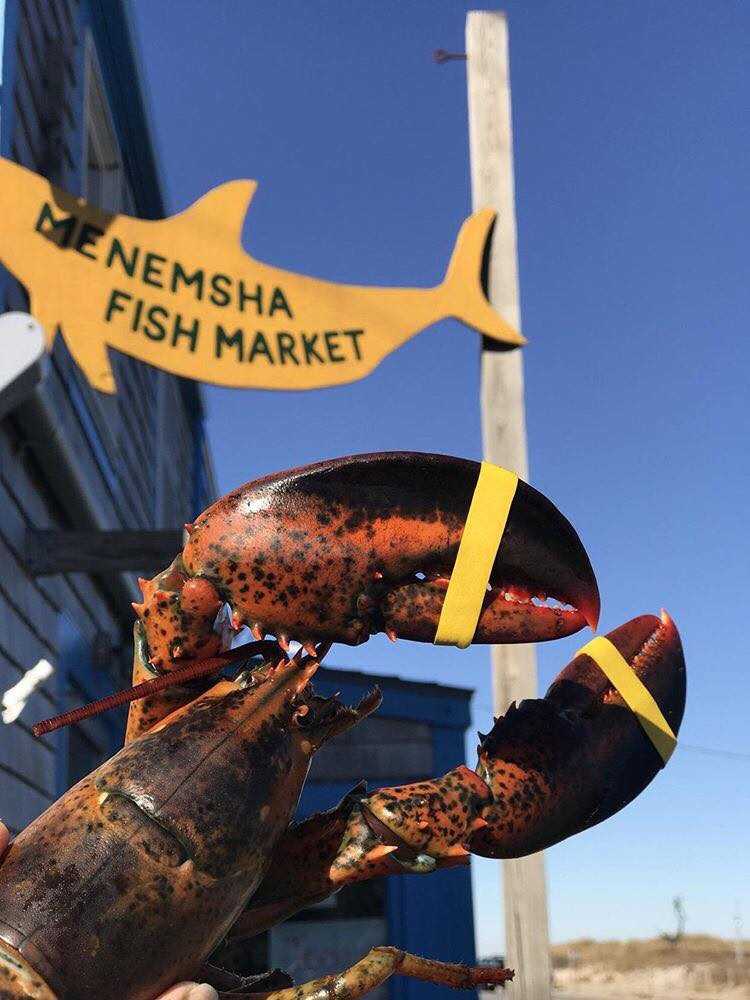 Menemsha Fish Market | Lobster | Seafood | Shipping Nationwide