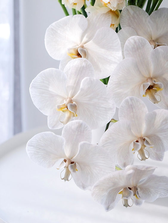 Melbourne Floral Studio & Flower Workshop | Flouergardn | Southbank ...