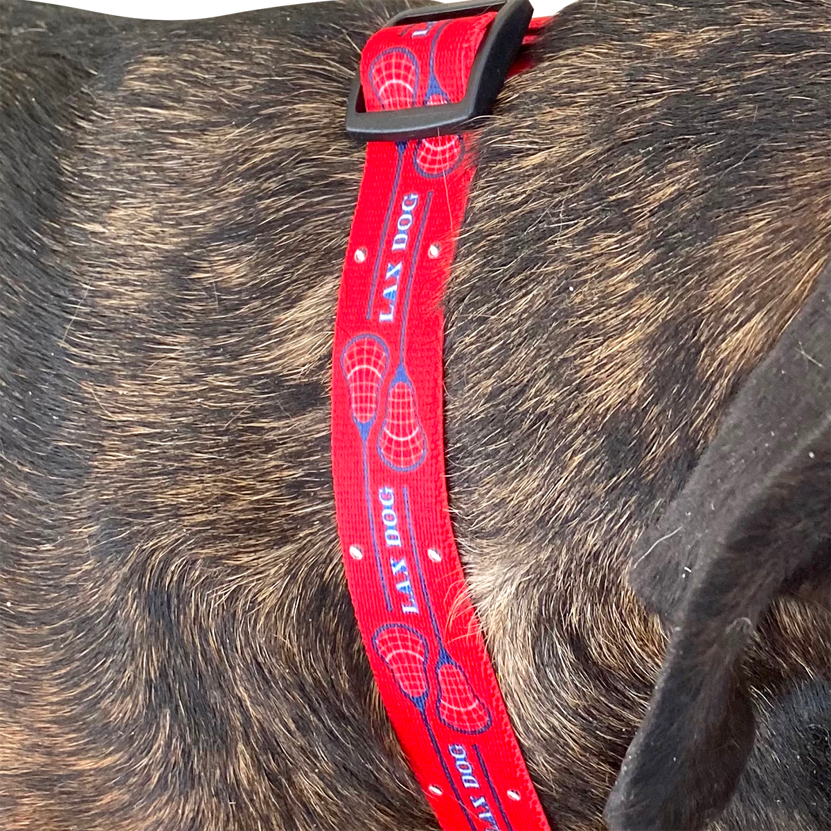 Lacrosse LAX Dog Red Collar | Bark & Wag LLC