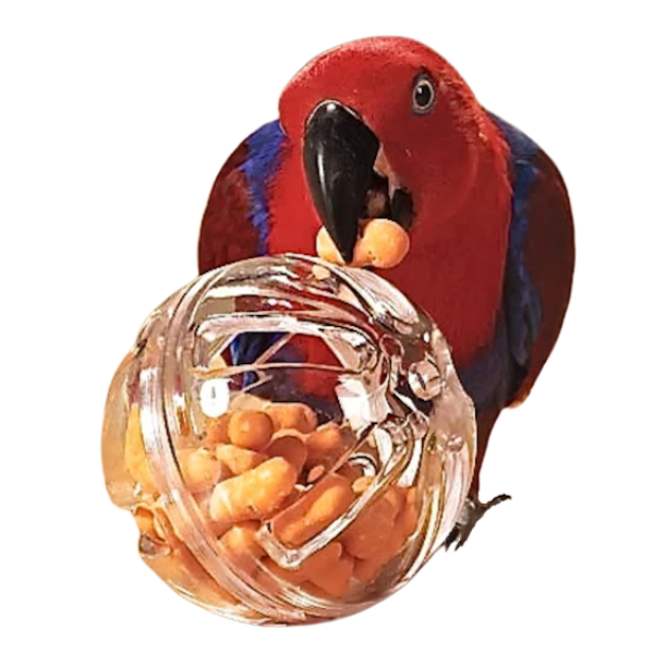 Acrylic Foraging Ball | birdtalk