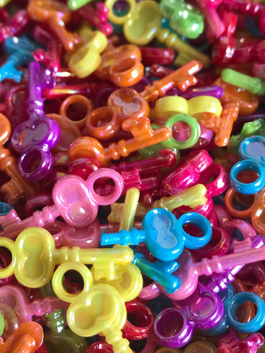 20gr Mini Opaque Skeleton Keys | birdtalk