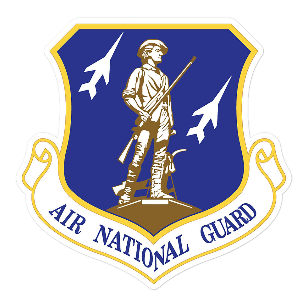 Air National Guard Sticker | Boneyard Safari