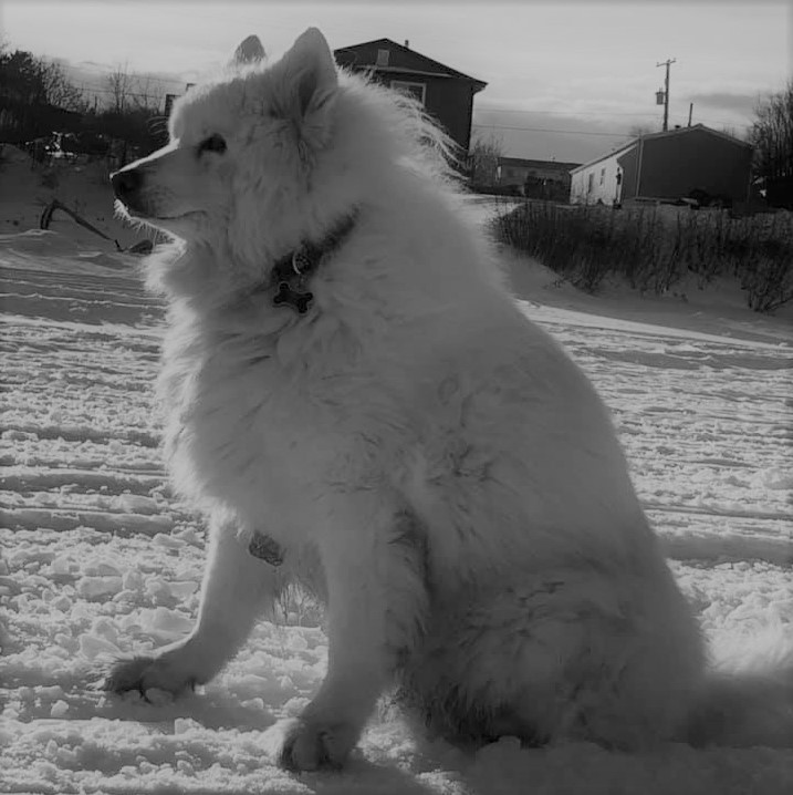 The Northern Lights: A Spiritual Connection to Ancestral Spirits in ...