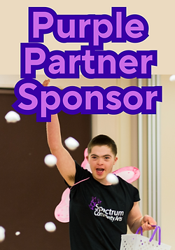 Sponsorship | Spectrum CA