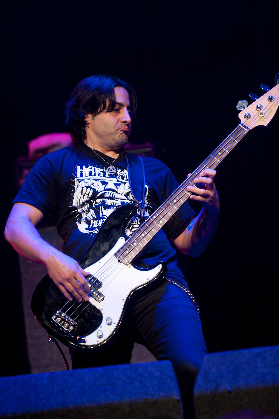 BASS LESSONS by AJ PAPPAS