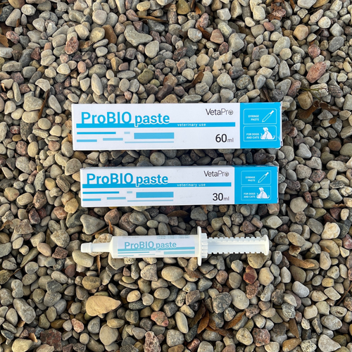 ProBio paste gerosios bakterijos | VetInn.lt