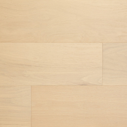 6" Oak Fortino | Mongo Flooring