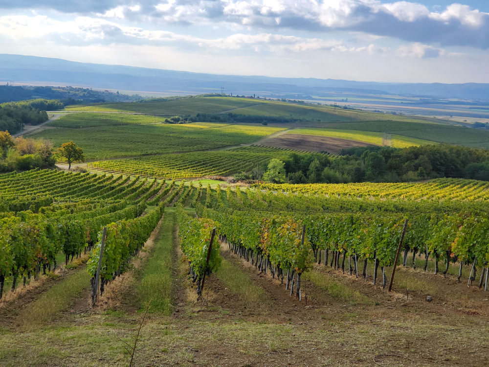 The hidden treasures of the Golden Valley