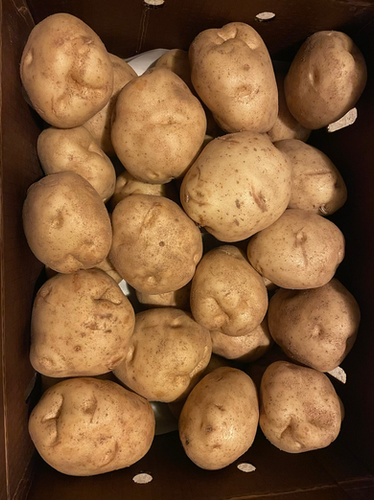 Fresh potato Case ($22/20 lbs)/新鲜土豆礼盒装（$22/20磅） | Mysite