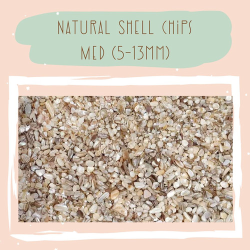 Natural Shell Chips Polished Medium | Bramblier