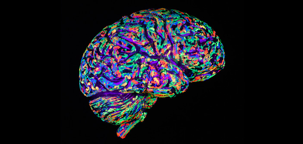 ¿Qué es la Neurociencia?