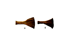 HEMP-PALM BROOM, (S)-soft No.0600 | JAPAN BONSAI