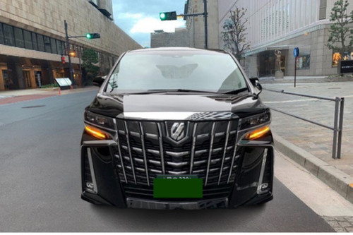 Narita Airport ⇄Tokyo 23 Wards/HND/Disney Private Transfer by Minivan ...