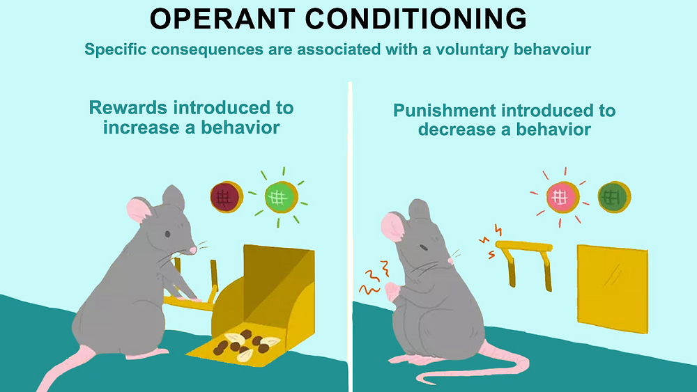 Addressing Defiant Behaviour with B.F. Skinner's Operant Conditioning