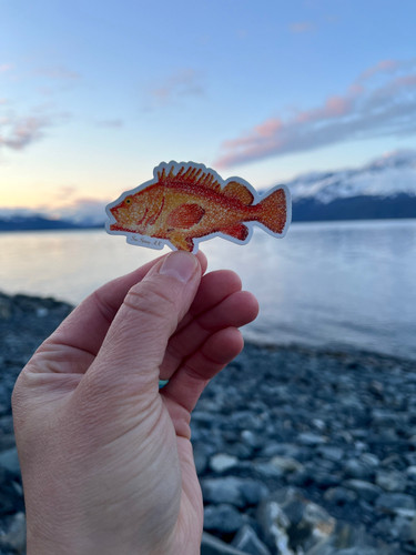 Yellow- Eyed Rockfish Vinyl Sticker, Deep Sea Fishing Alaska, Rockfish ...